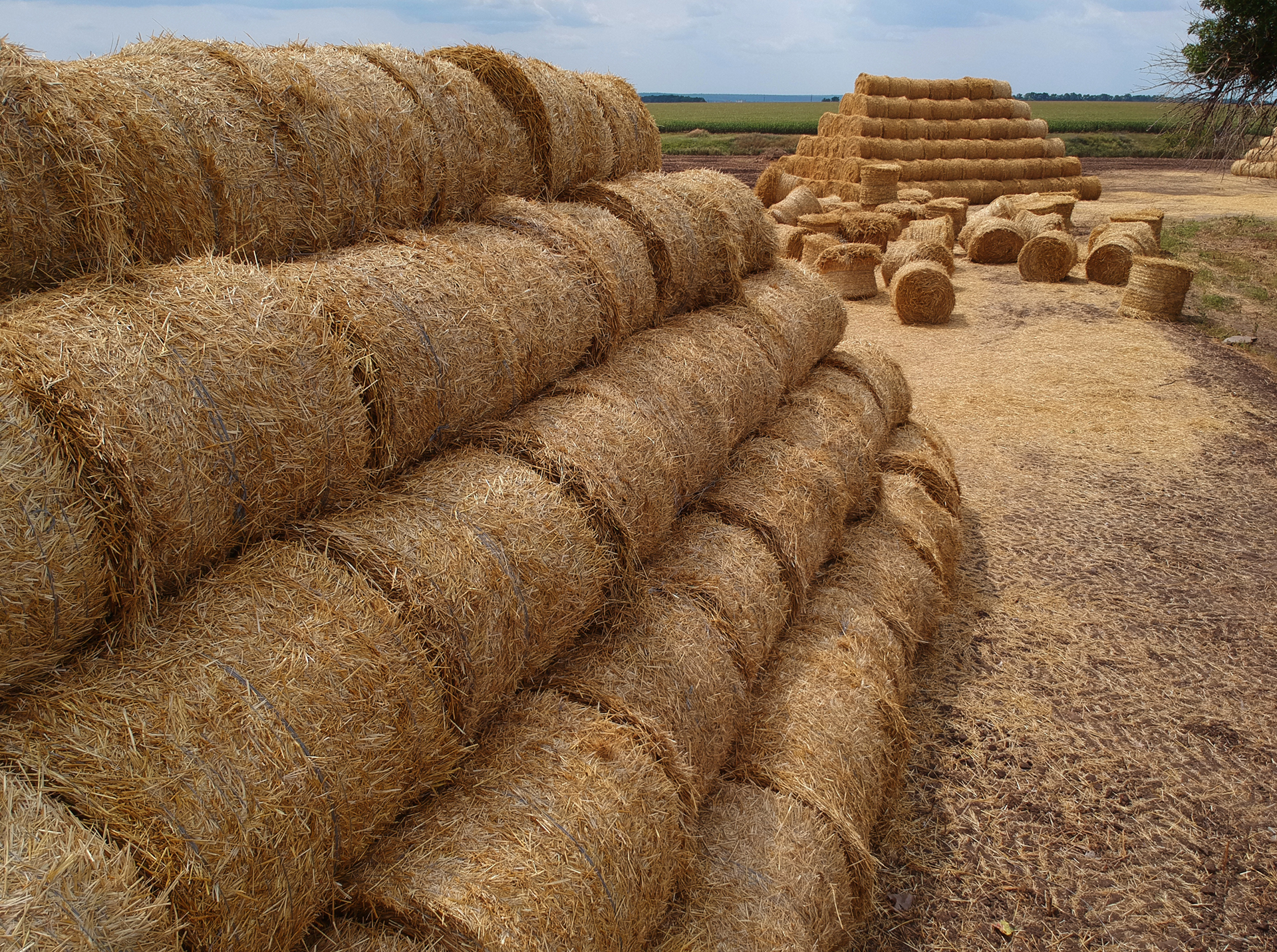 Hay Moisture Meter Dramiński HMM - Dramiński