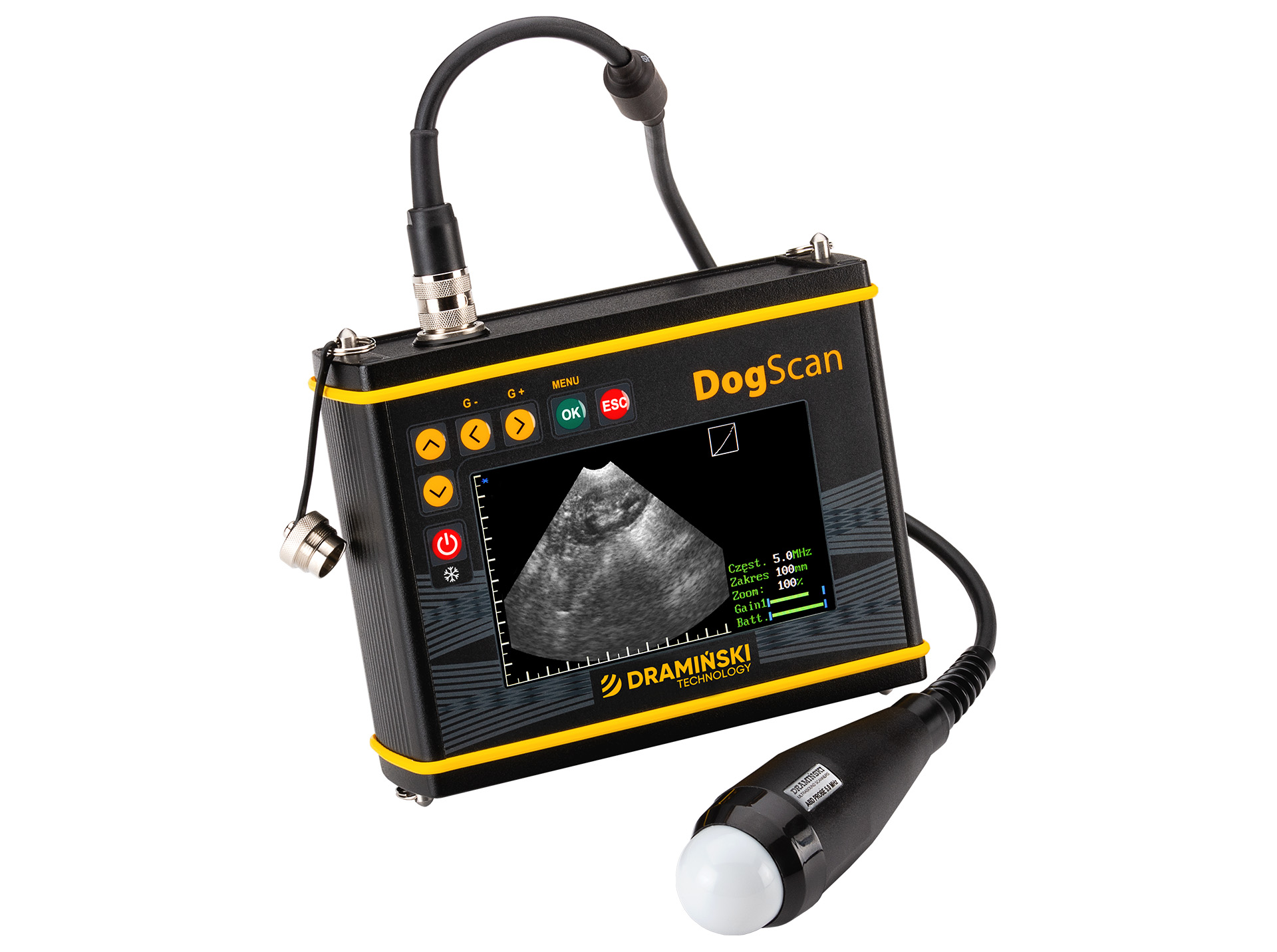 DogScan ultrasound scanner - Dramiński