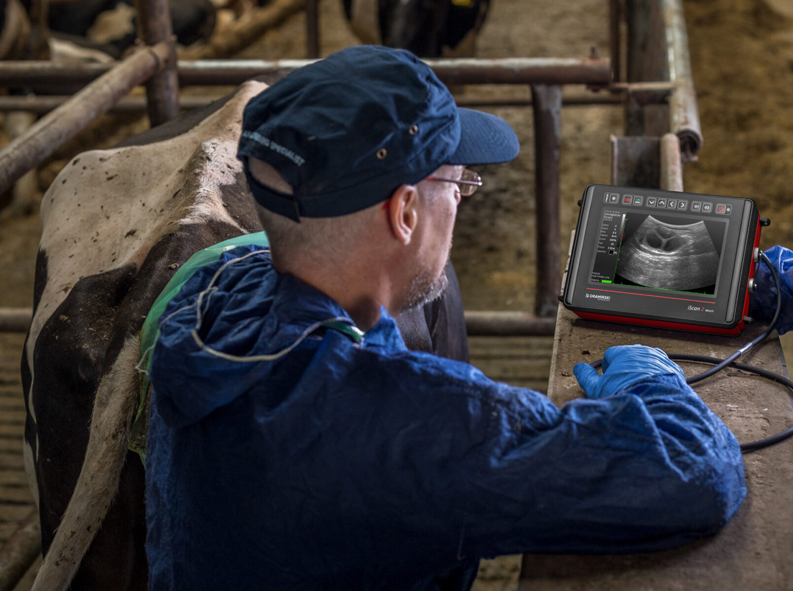 iScan 2 MULTI ultrasound scanner - Dramiński