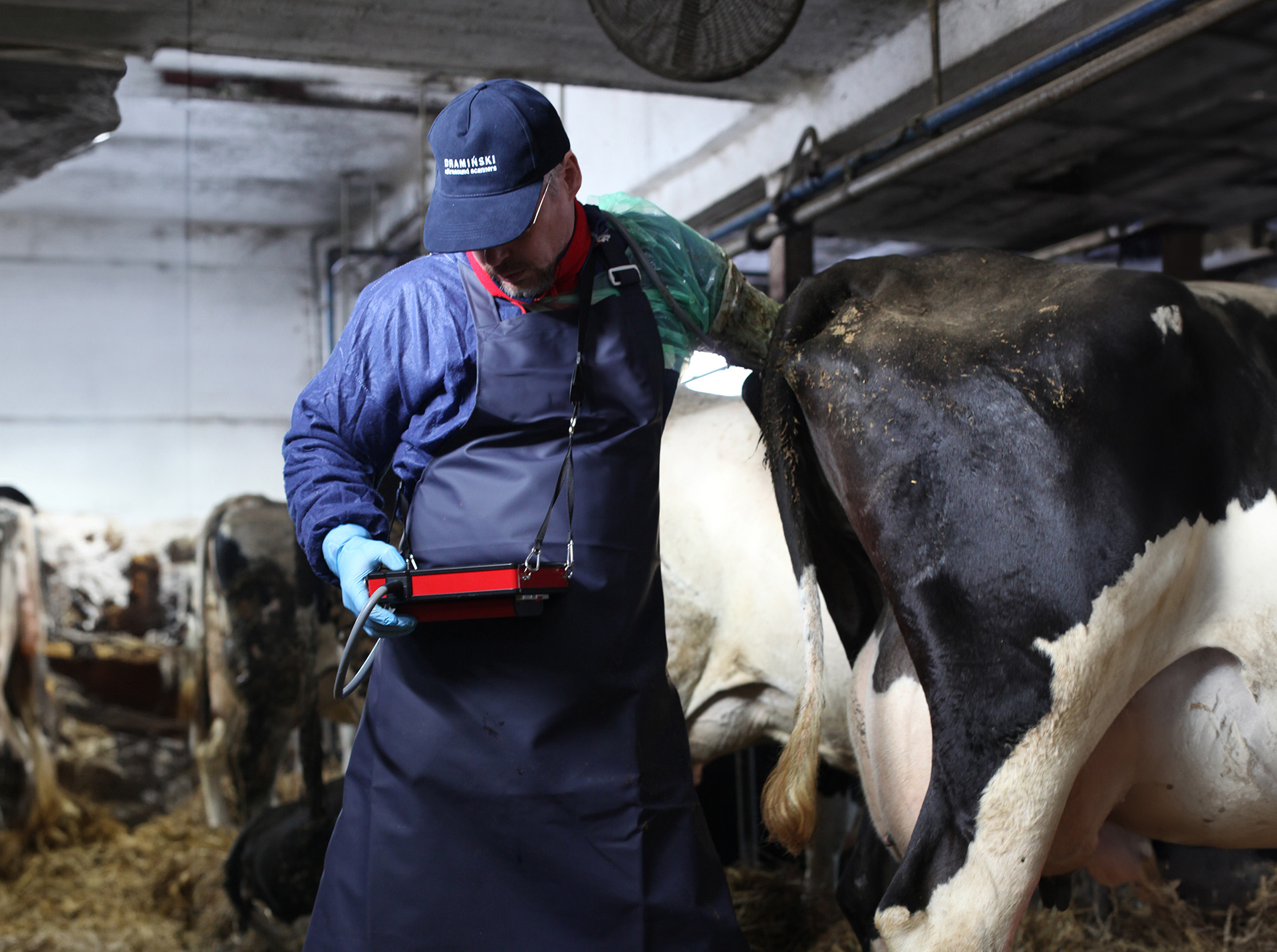 iScan 2 ultrasound scanner - Dramiński