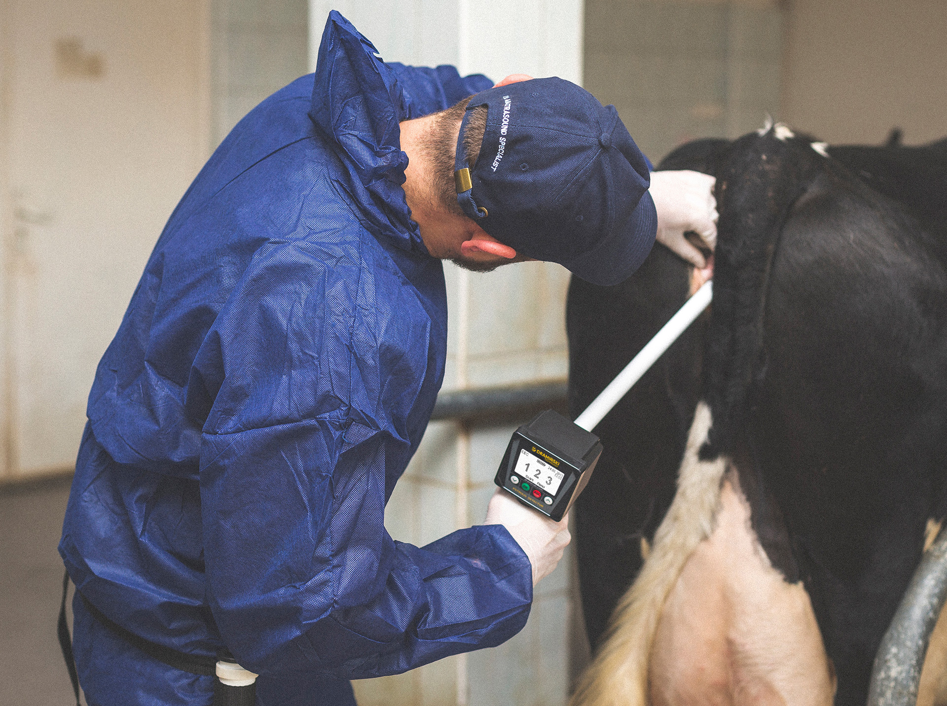 Dramiński EDC 2 Estrous Detector for Cows and Mares - Dramiński