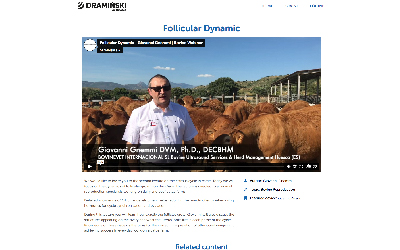 About us - Dramiński