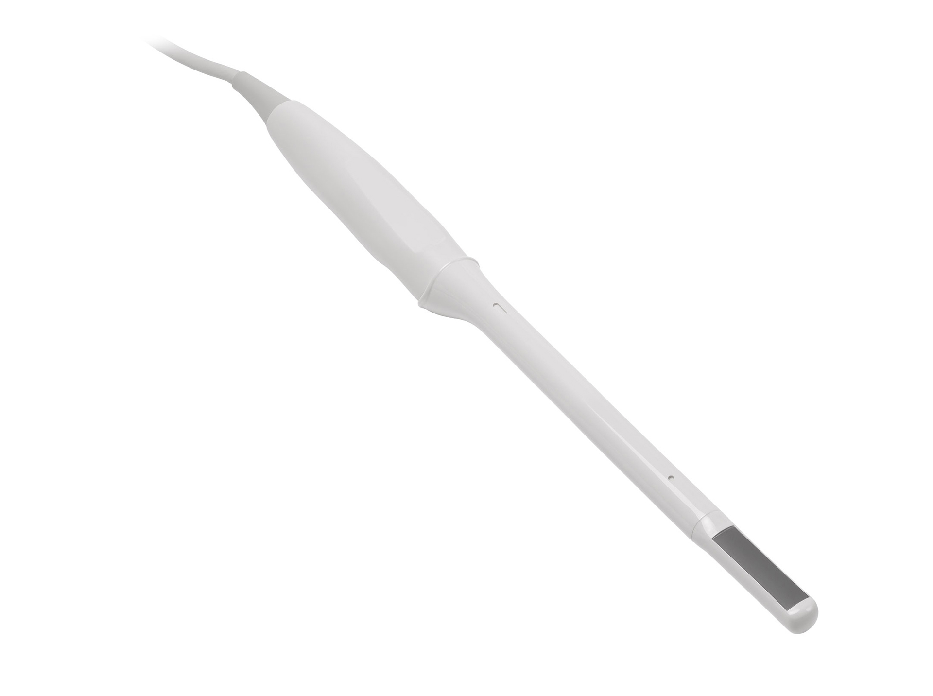 Rectal linear probe 191 - Dramiński