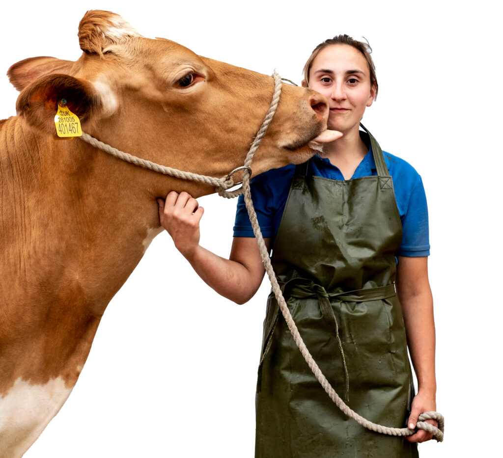 Mastitis in Dairy Cows – How to Spot, Treat, and Prevent Udder ...